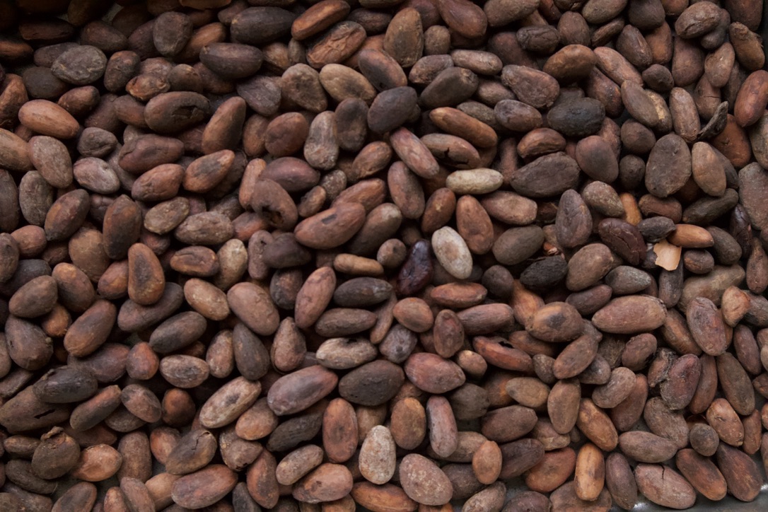 Cocoa Beans Unroasted – I AM ORIGINS Kenya